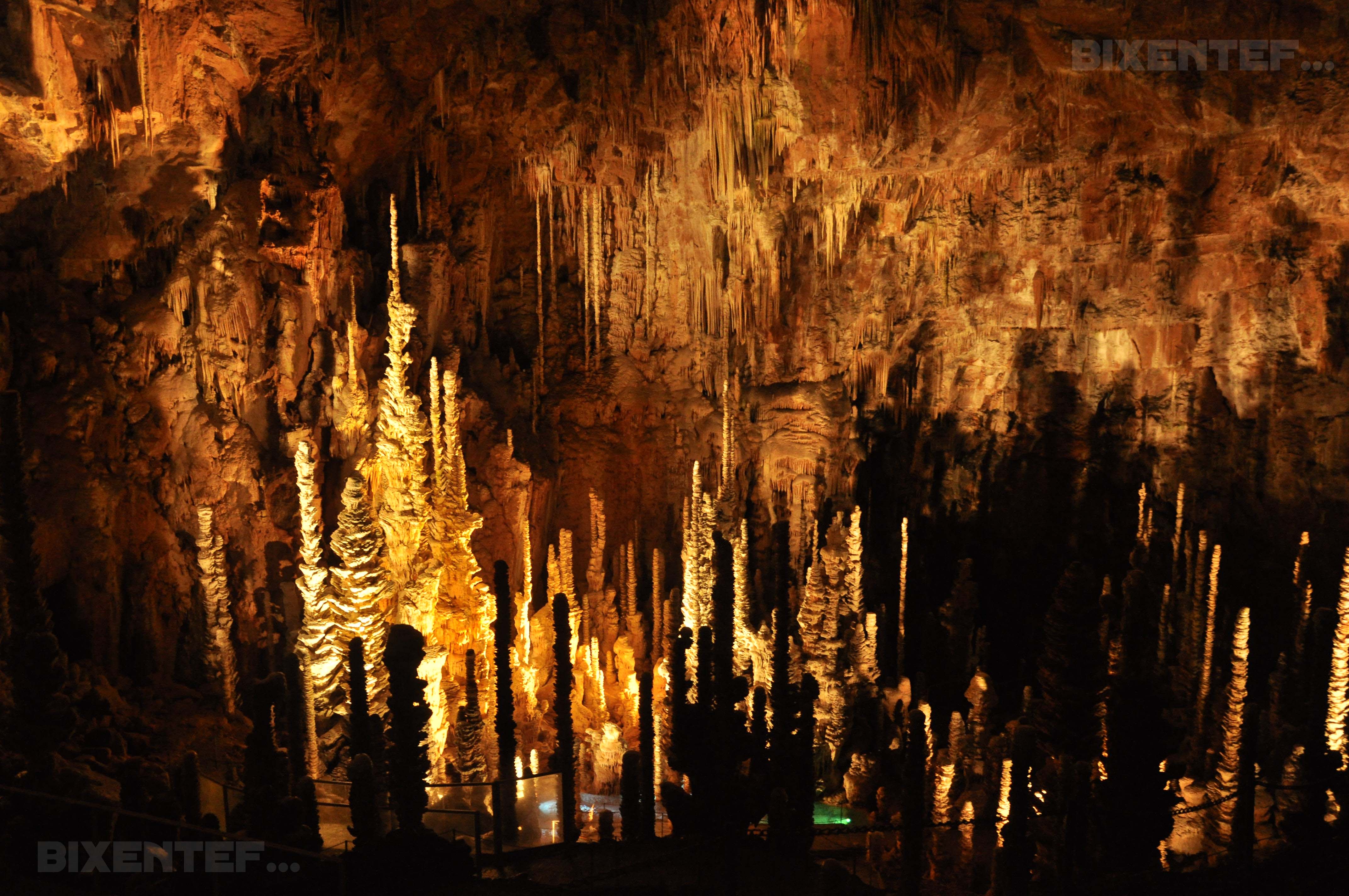 Aven Armand : Grottes : Aven Armand : Lozère : Languedoc-Roussillon ...
