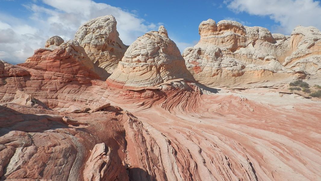 White Pocket AZ : White Pocket : Arizona : Parcs nationaux de l'Ouest ...