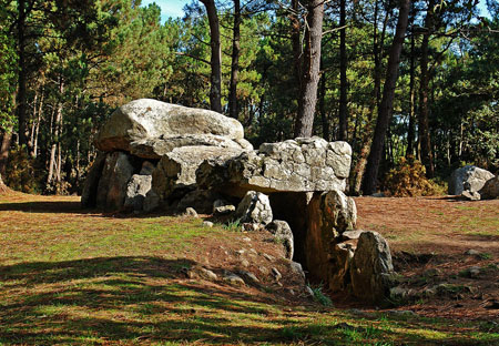 Dolmen dans la forêt : Quiberon (Kiberen) : Morbihan : Bretagne ...