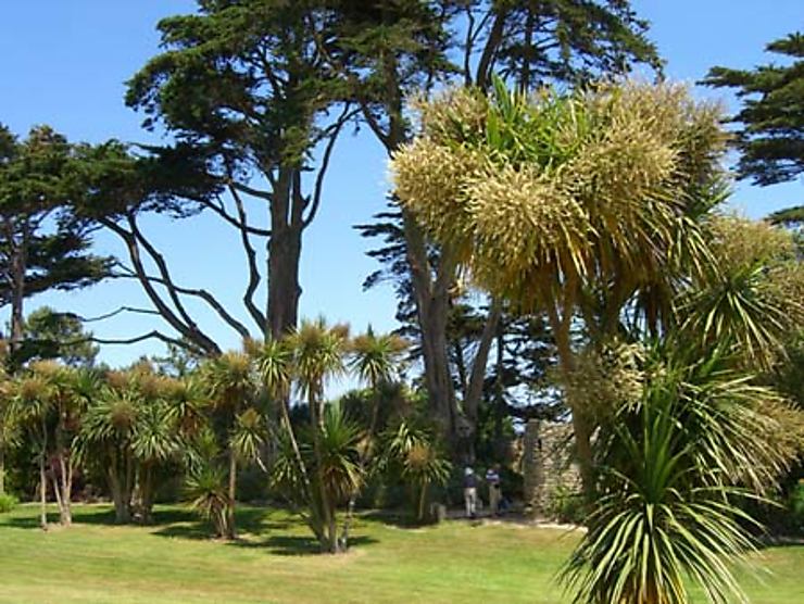 Jardin tropical breton : Arbres : Île de Batz (Enez-Vaz) : Finistère ...