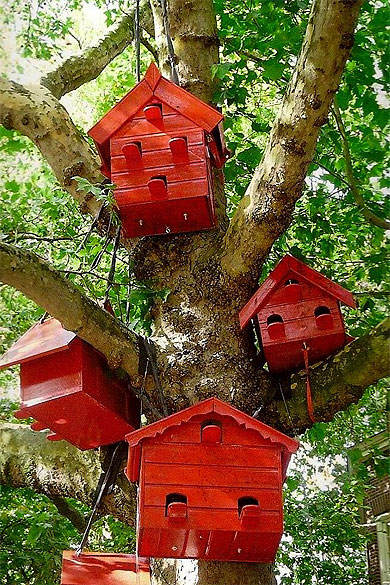 Des maisons rouges dans les arbres : Vondelpark : Vondelpark et ...