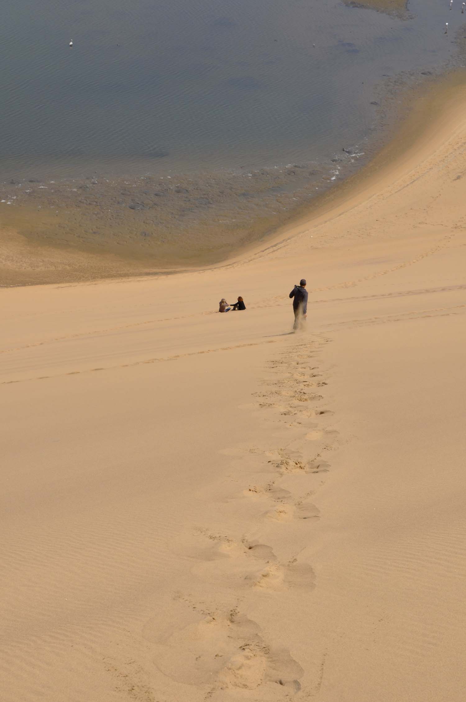 Sandwich Harbour : Sandwich Harbour : Côte atlantique : Namibie ...