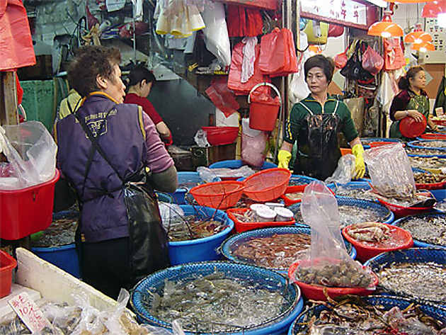 Marché aux poissons : Marchés : Aberdeen : Île de Hong Kong : Hong Kong ...