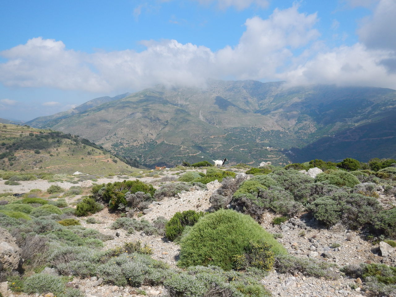 Beauté des montagnes crétoises : Montagne : Région de Hania (La Canée ...