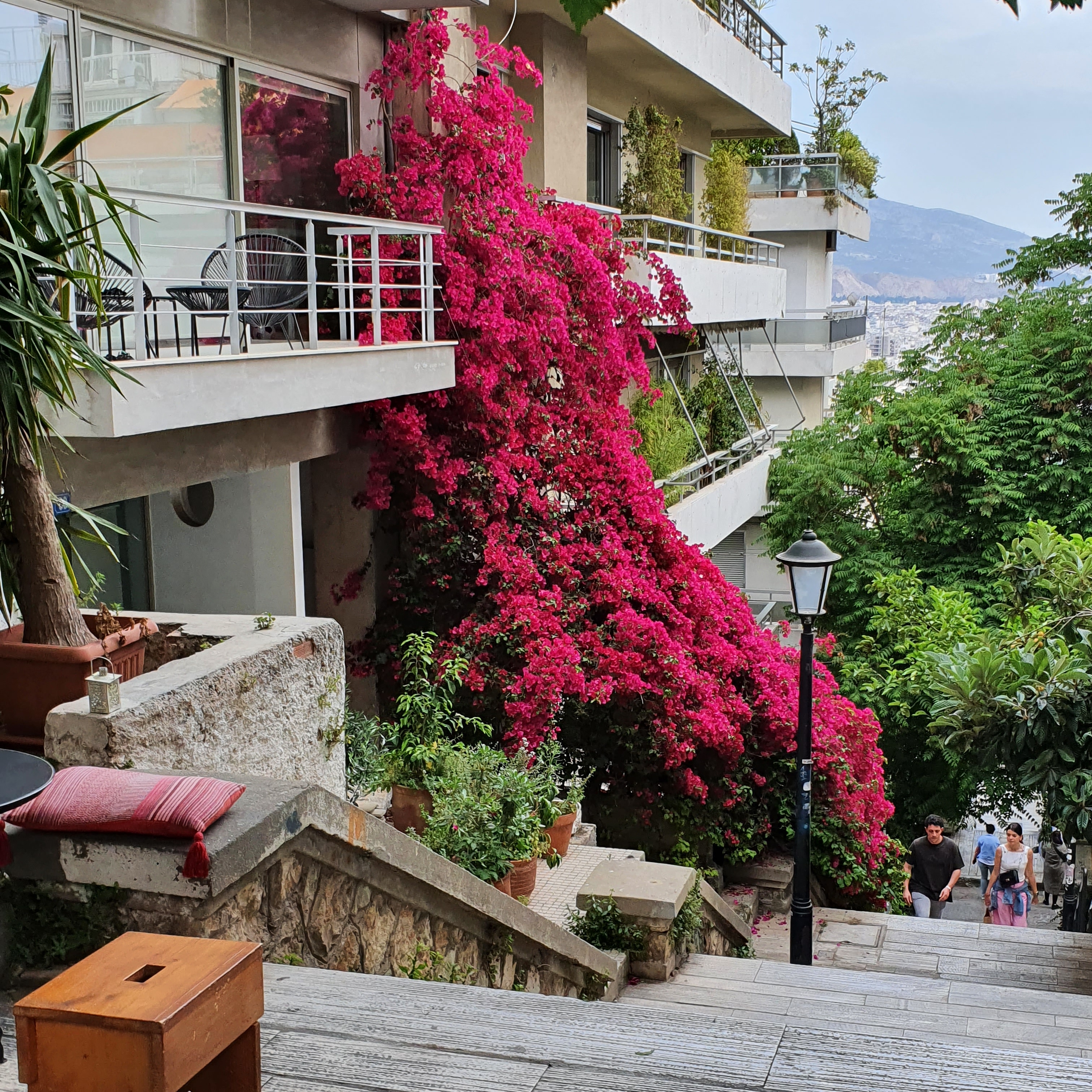 Terrasse : Fleurs : Florence : Italie : Routard.com