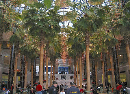 Winter garden : World Financial Center : Lower Manhattan : Manhattan ...