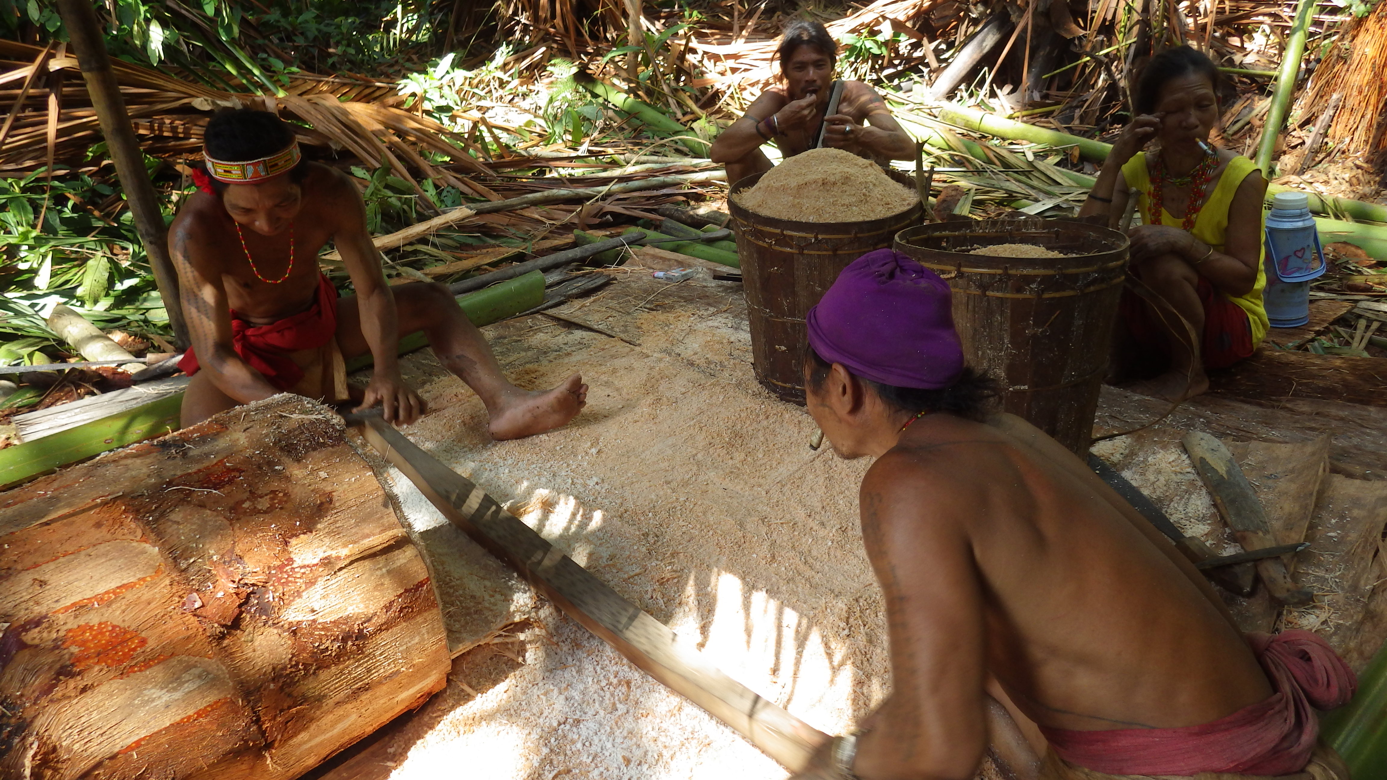 Préparation du Sagou : Mentawai : Indonésie : Routard.com