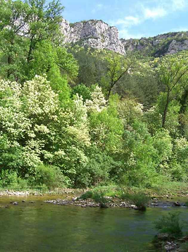 Gorges de la Vis vers Gorniès : Falaise : Gorges de la Vis : Hérault ...
