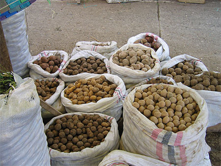 Pommes de terres d'Equateur : Marchés : Cuenca : Cordillère des Andes ...