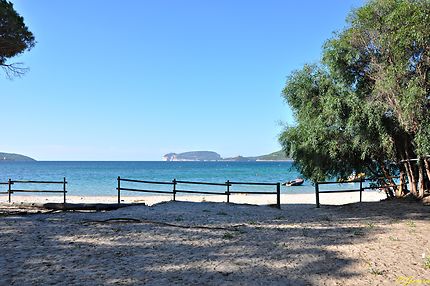 Spiaggia Mugoni : Plages : Mer : Province de Sassari : Sardaigne ...