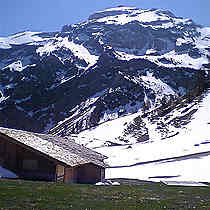 Ile Saint Pierre : Lacs : Canton de Berne : Suisse : Routard.com