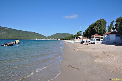 Spiaggia Mugoni : Plages : Mer : Province de Sassari : Sardaigne ...