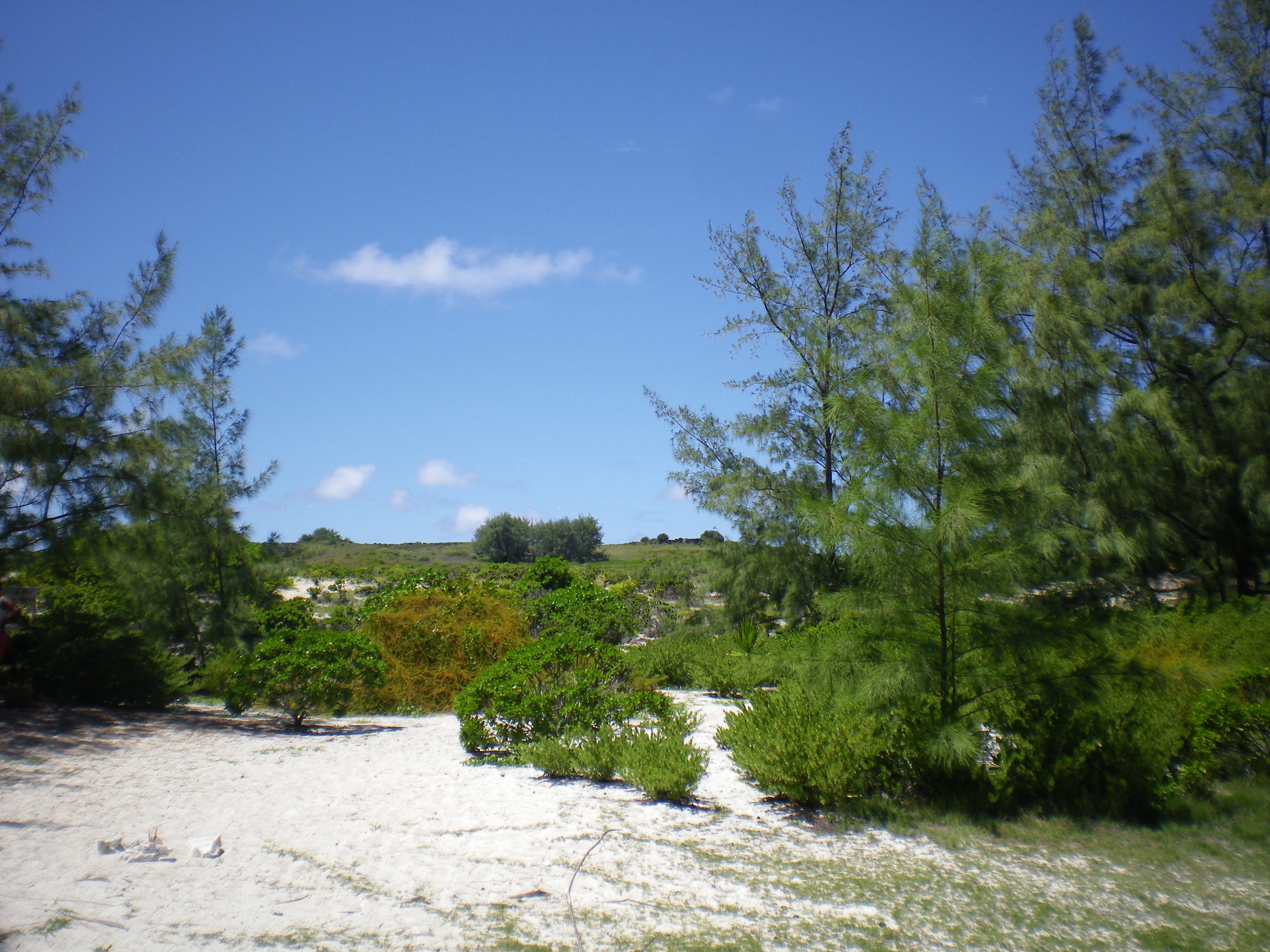 Ilot Gabriel : Îlot Gabriel : Grand Baie et le Nord : Île Maurice ...