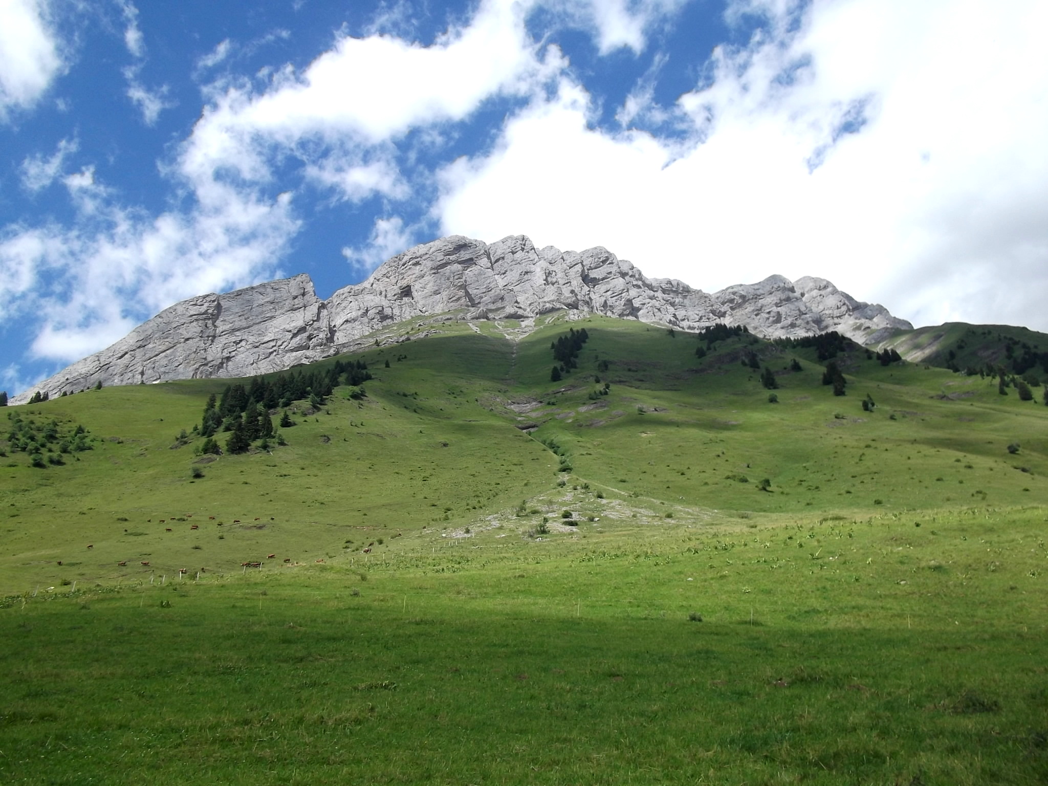 Col des Aravis : Montagne : Massif des Aravis : Haute-Savoie : Alpes ...