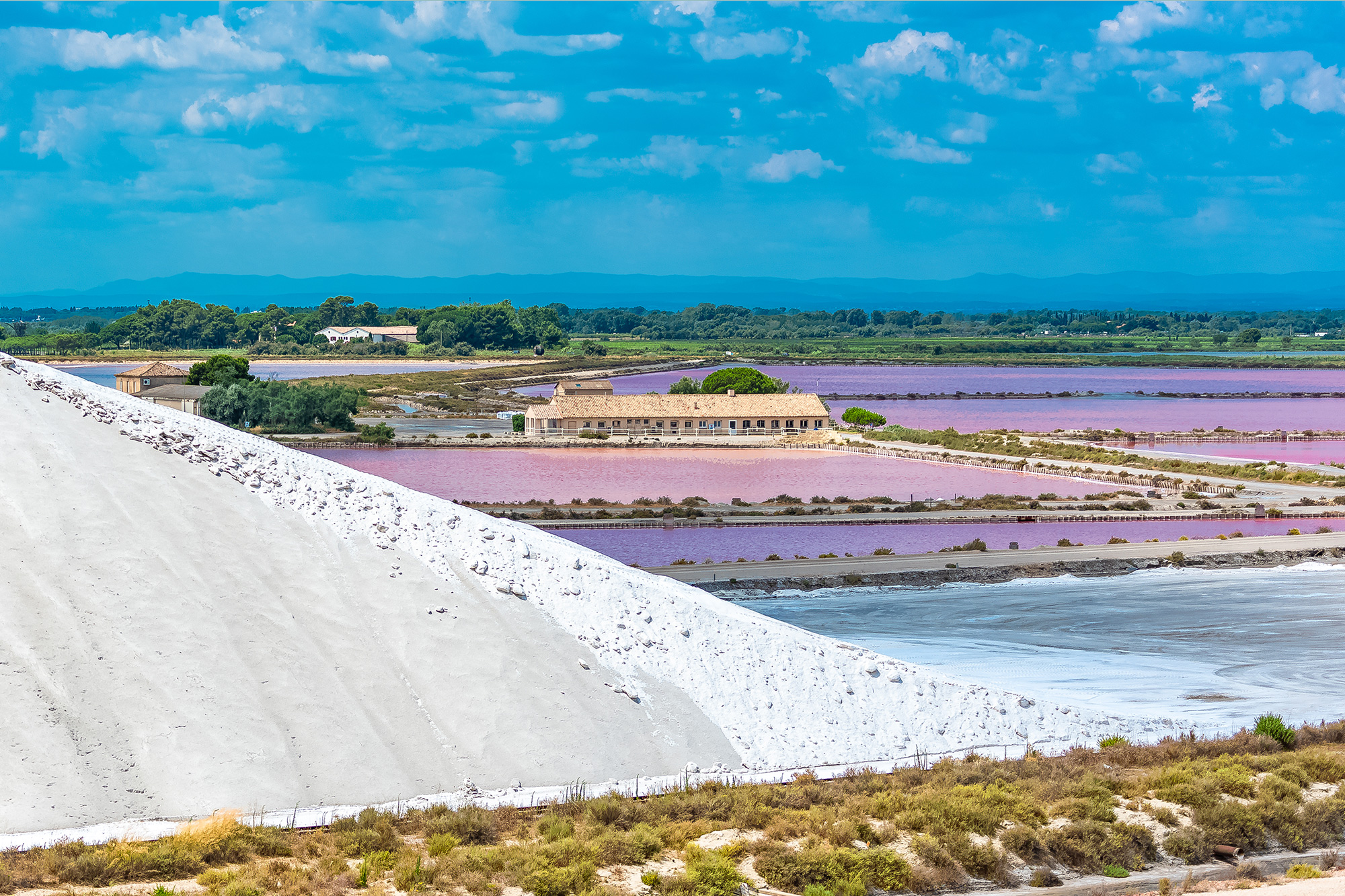 La Camargue gardoise, autour d’Aigues-Mortes : Idées week end Languedoc ...