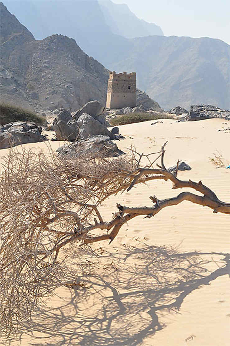Fort de Al Jadi : Al Jadi : Péninsule de Musandam : Oman : Routard.com