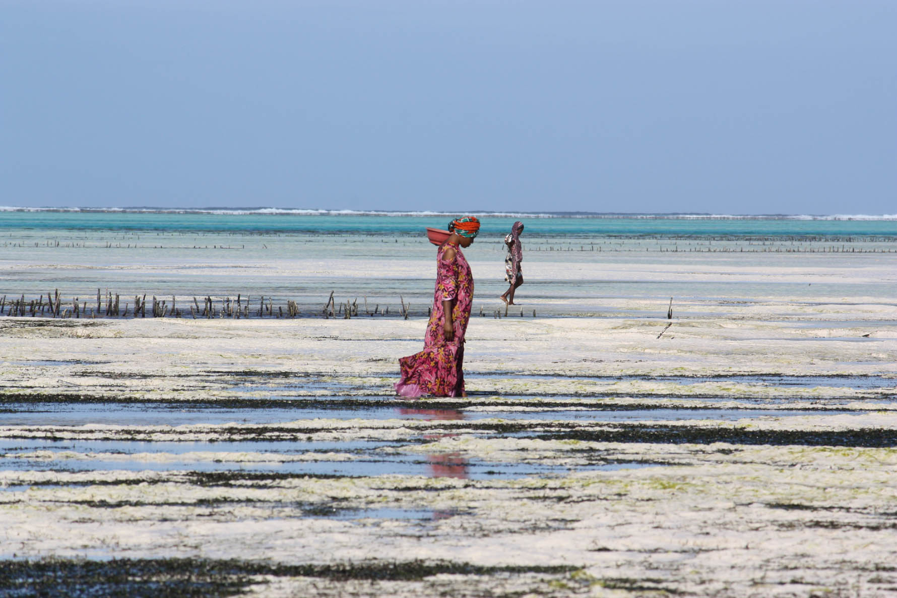 Marée basse : Plages : Mer : Jambiani : Côte Est : Zanzibar : Routard.com