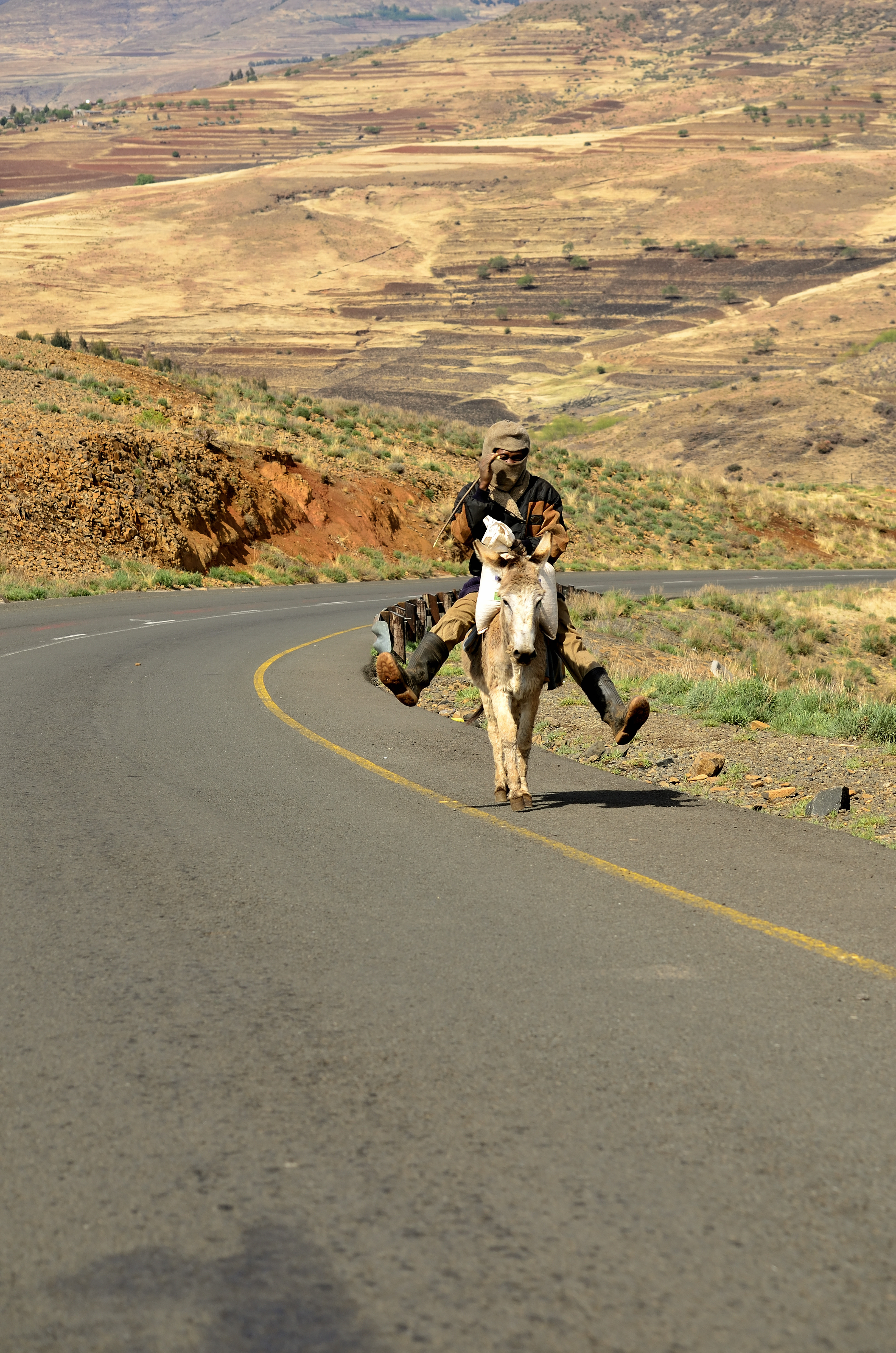 Sur la route au Lesotho, y a aussi des ânes ! : Routes : Transport ...