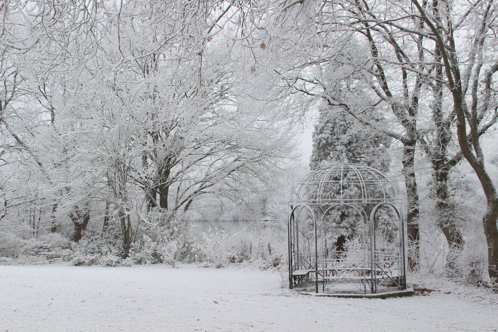 Promenade à Nantes sous la neige : Arbres : Nantes : Pays de la Loire ...