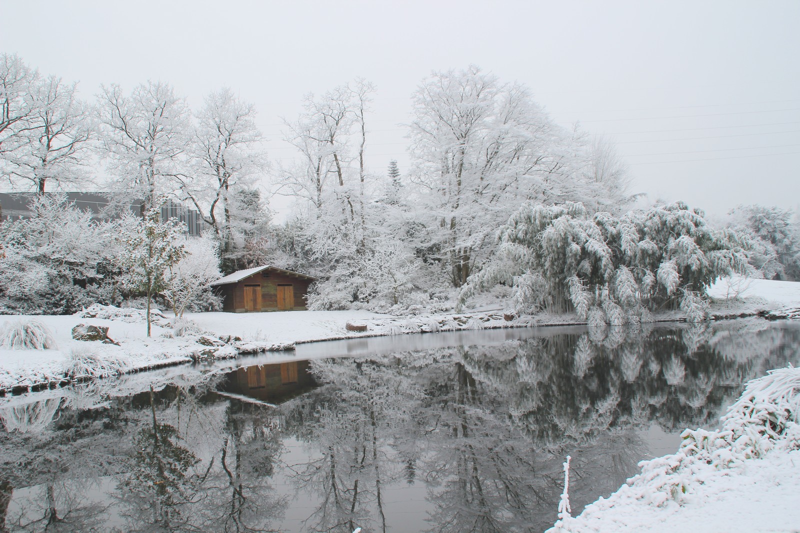 Promenade à Nantes sous la neige : Nantes : Pays de la Loire : Routard.com