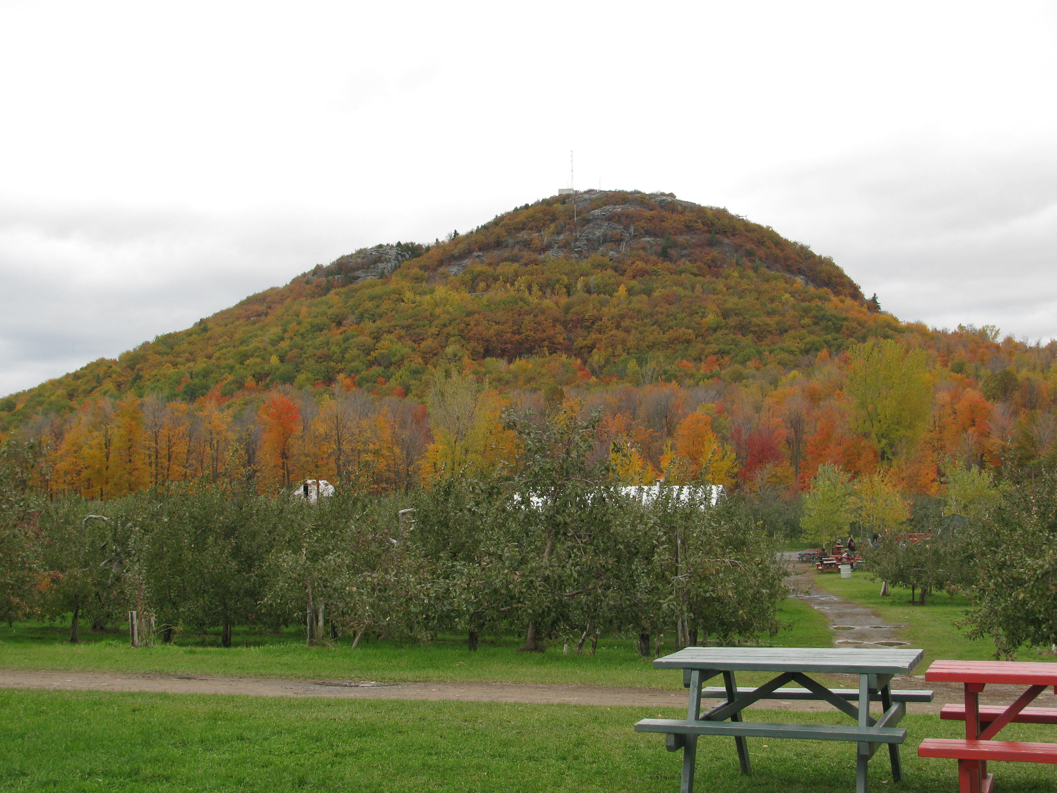 Décor automnal : Mont-Saint-Grégoire : Montérégie : Québec : Routard.com