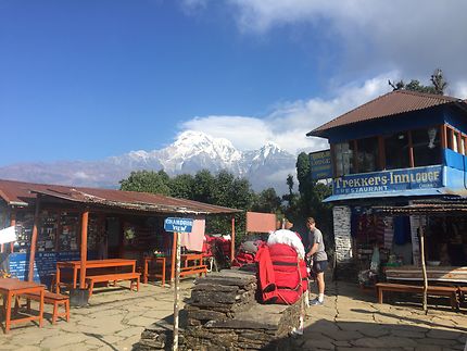 Trek du Sanctuaire de l'Annapurna / Pitam Deurali : Annapurna : Région ...