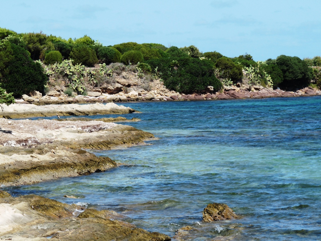 Plage à Calasetta : Calasetta : Isola di Sant'Antioco : Province de ...