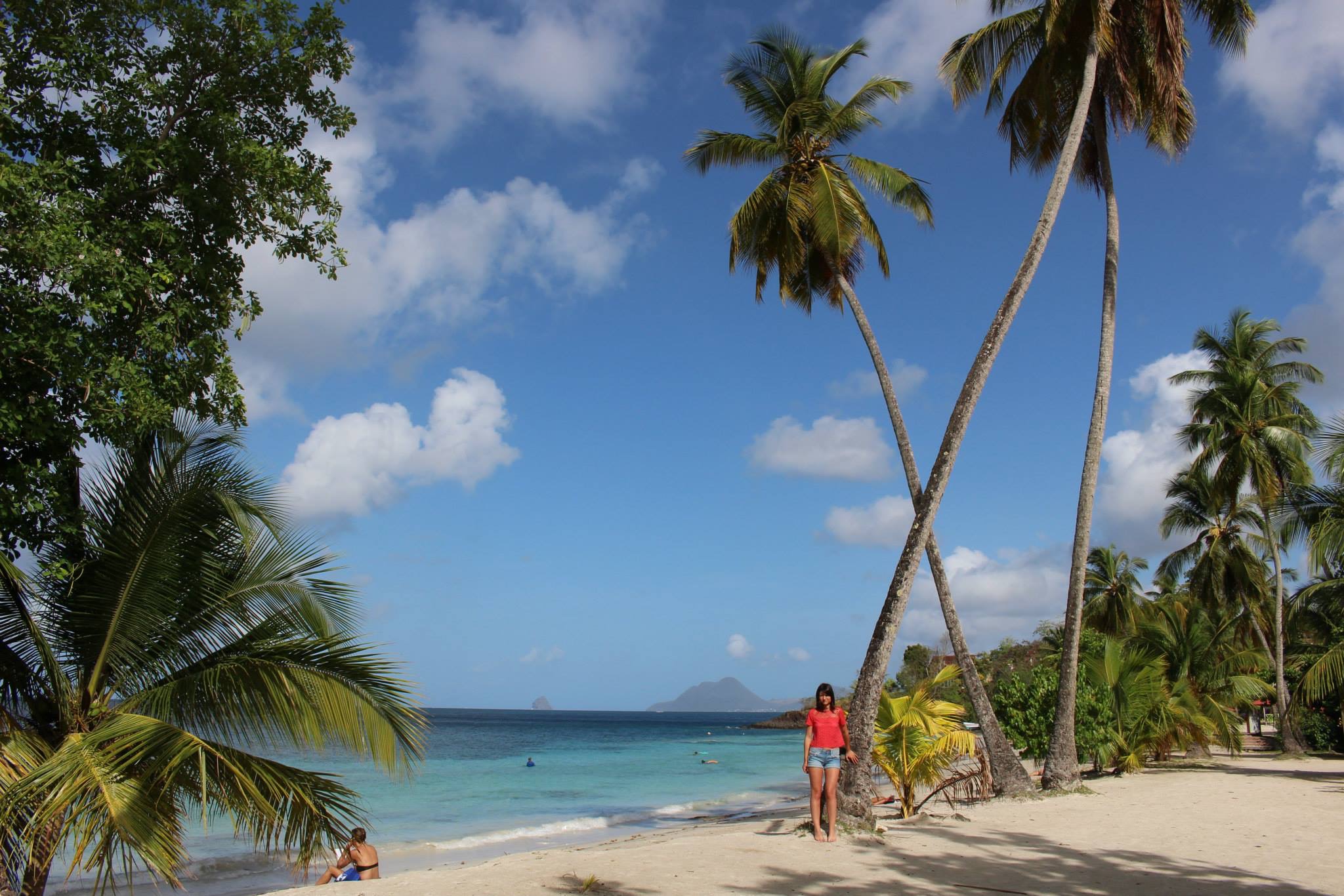 Anse figuier : Plages : Mer : Anse Figuier : Côte-sous-le-vent ...