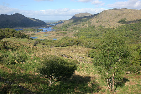 Lady's View : Ladies View : Killarney National Park : Ring of Kerry ...