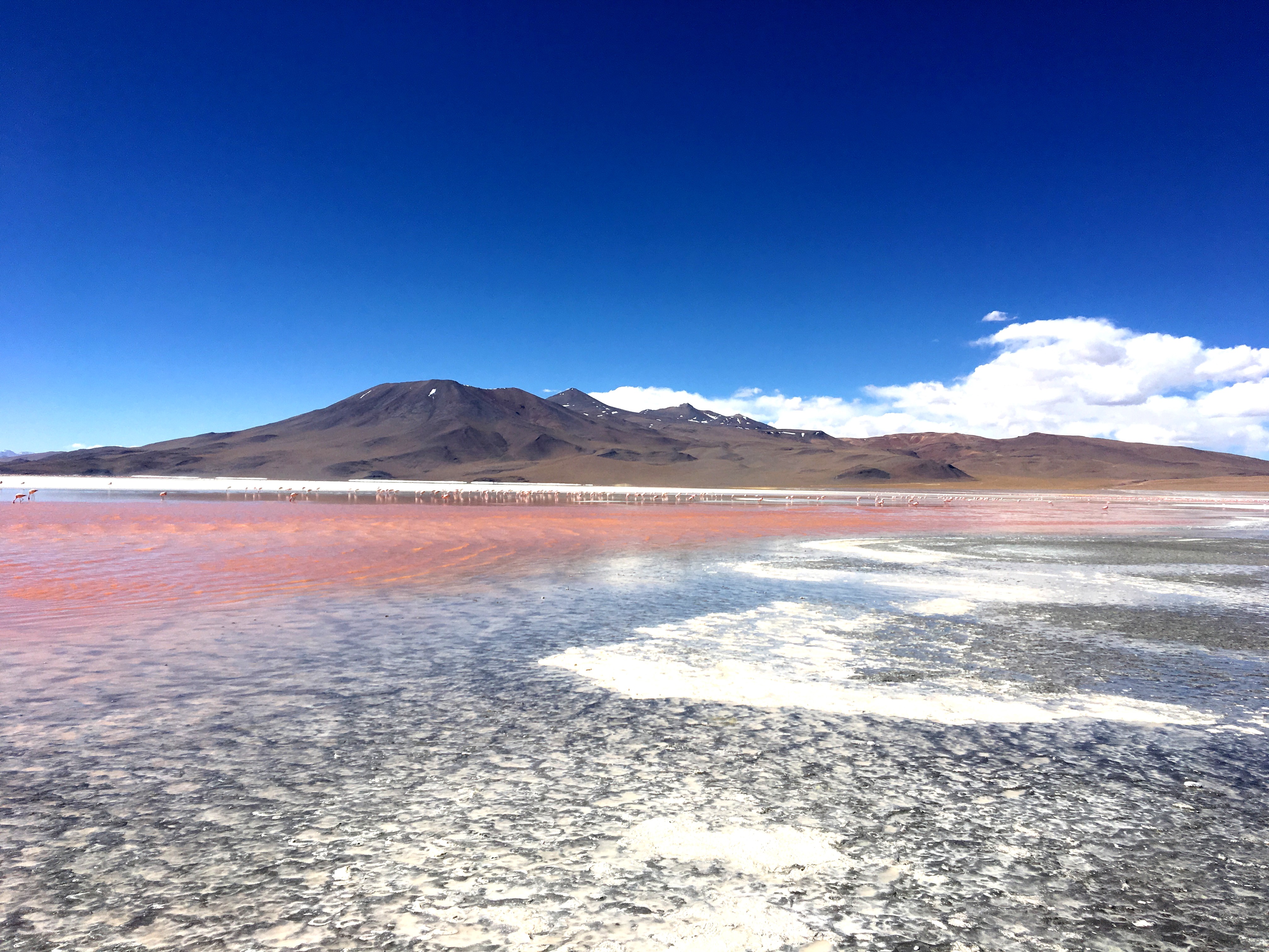 Magie sur la Laguna Colorada : Lacs : Laguna Colorada : Sud-Lípez ...