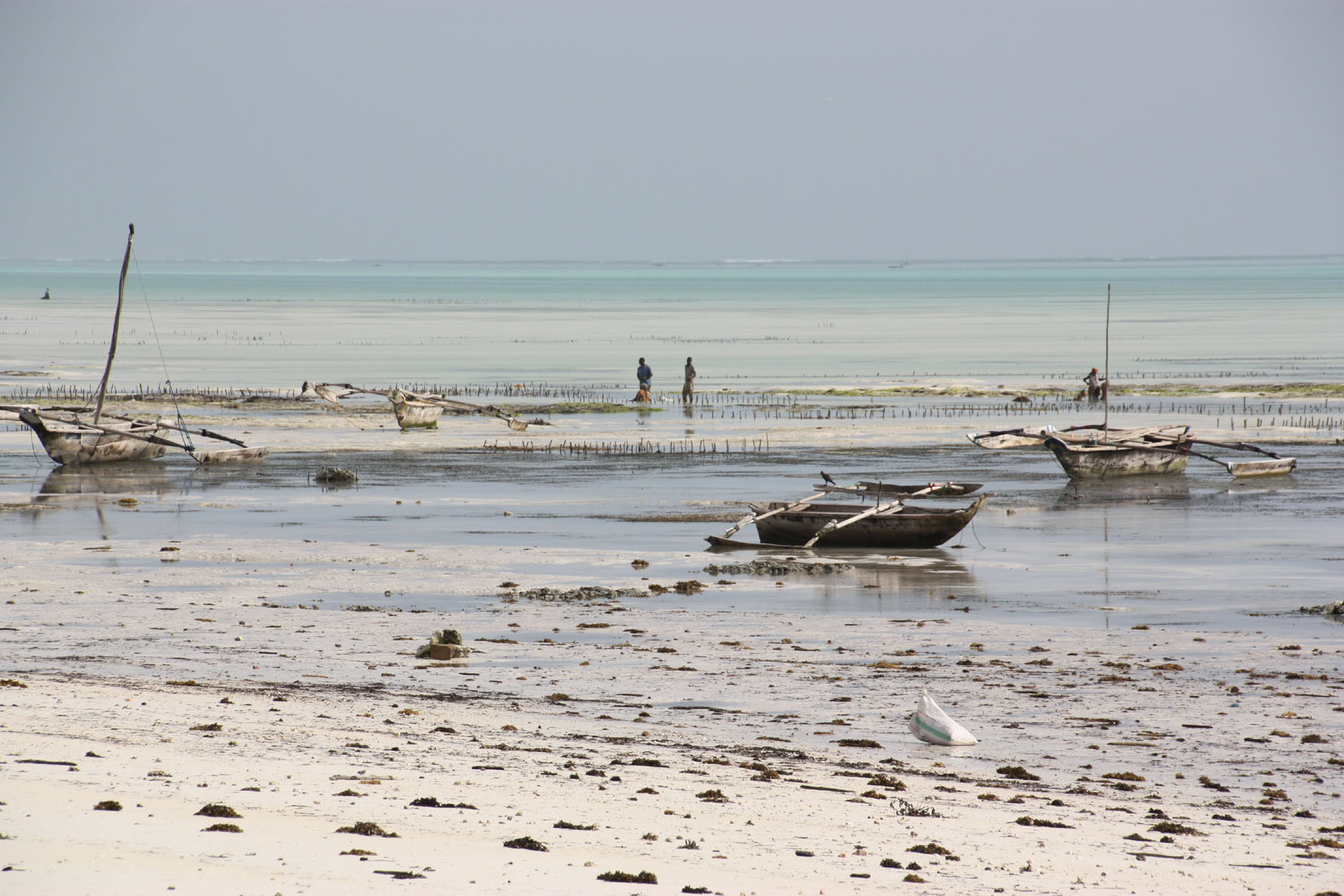 Marée basse à Jambiani : Bateaux : Transport : Jambiani : Côte Est ...