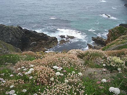 Cap Sizun, pointe du Van : Cap Sizun : Finistère : Bretagne : Routard.com