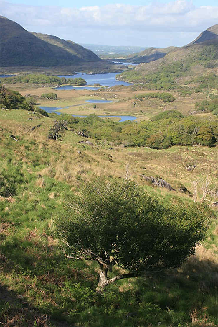 Lady's View (Killarney National Park) : Ladies View : Killarney ...
