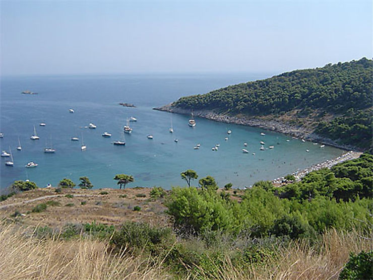 Vue sur la plage de Sunj : île de Lopud : Îles Élaphites : Sud de la ...