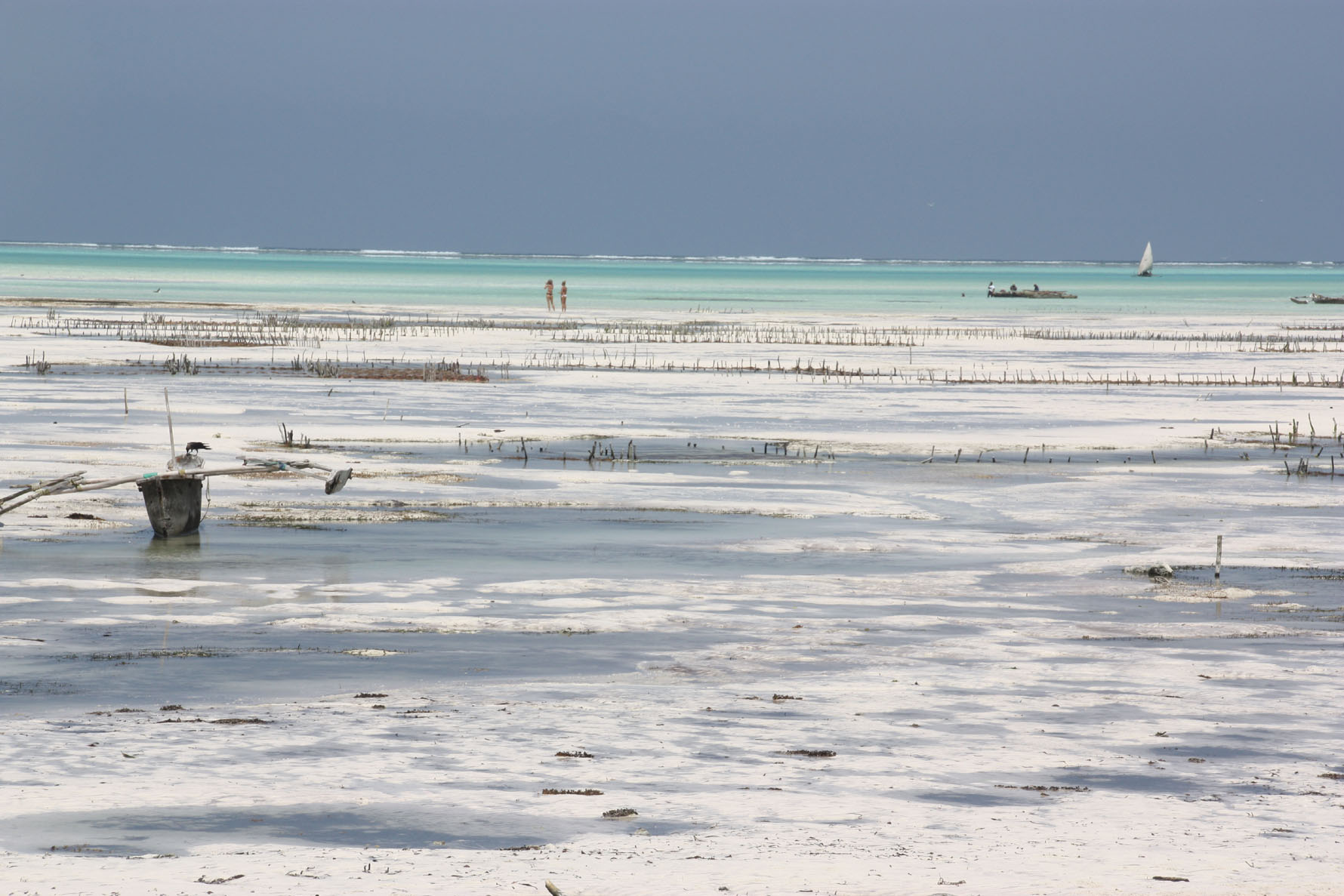 Marée basse à Jambiani : Jambiani : Côte Est : Zanzibar : Routard.com