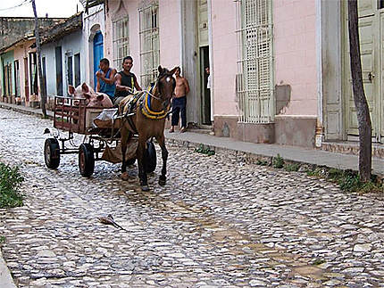 Transport de cochons : Transport : Trinidad : Centre de Cuba : Cuba ...