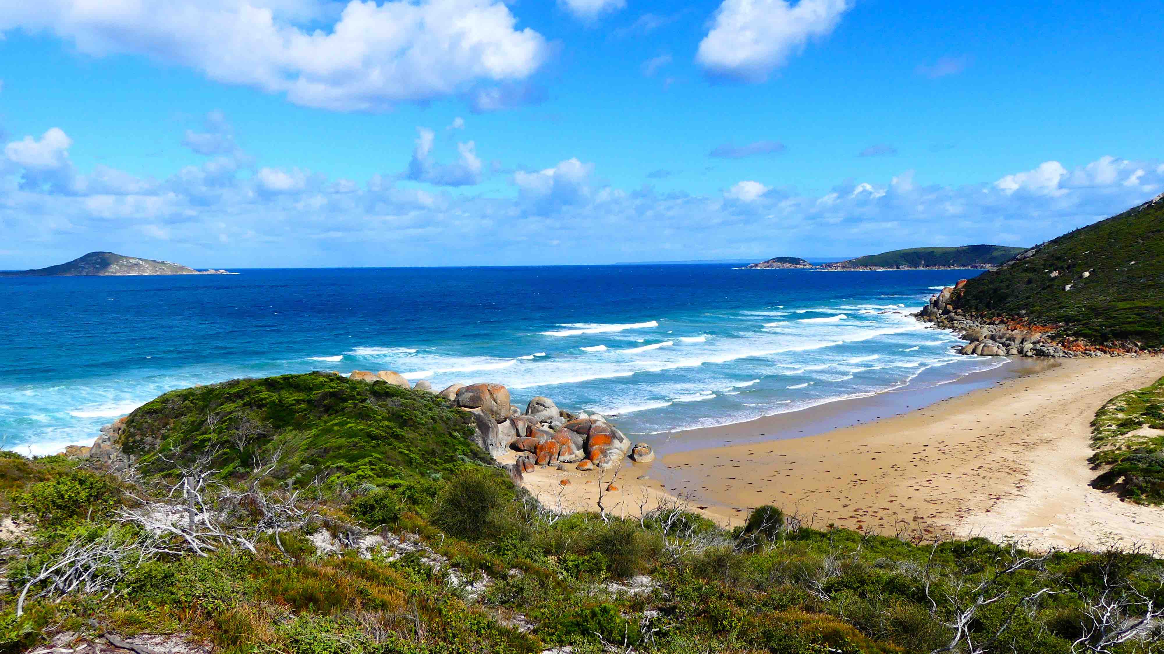 Vue sur Whisky Bay : Plages : Mer : Mer : Wilsons Promontory National ...
