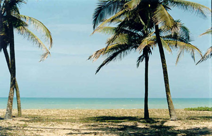 Voyage Bénin | Partir en vacances au Bénin | Routard.com