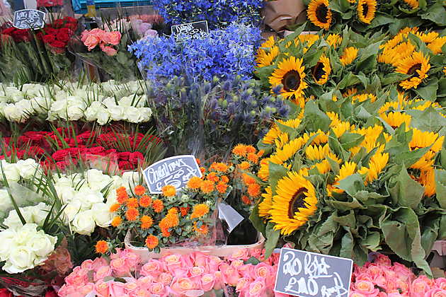 Columbia road market : Fleurs : Columbia road market : Hackney, Bethnal ...