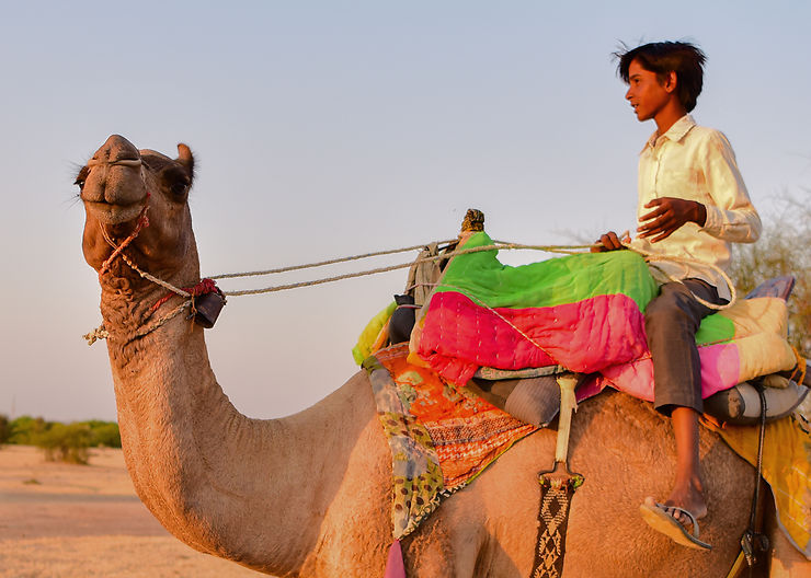 Mon dromadaire et moi : Dromadaires : Animaux : Enfants : Animaux ...