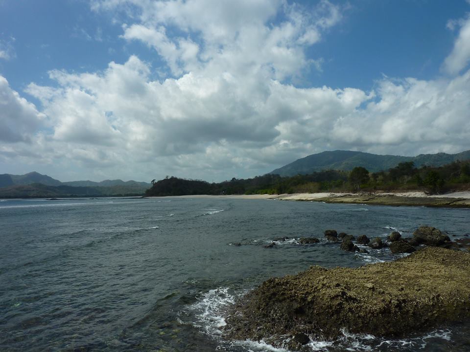 Maluk (Supersuck) : Maluk : Sumbawa : Indonésie : Routard.com