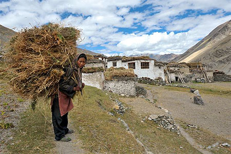 Jeune femme au village de Testa : Testa : Zanskar : Jammu-et-Cachemire ...