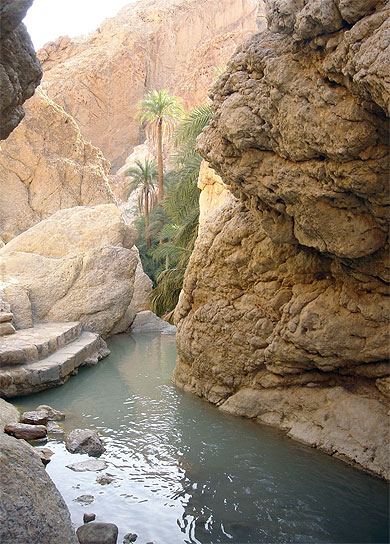 Oued de Chebika : Oasis de Chebika : Région de Tozeur, Gafsa et Kebili ...