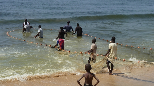 Pêcheurs ramenant leur filet : Nguéniène : Petite Côte : Sénégal ...