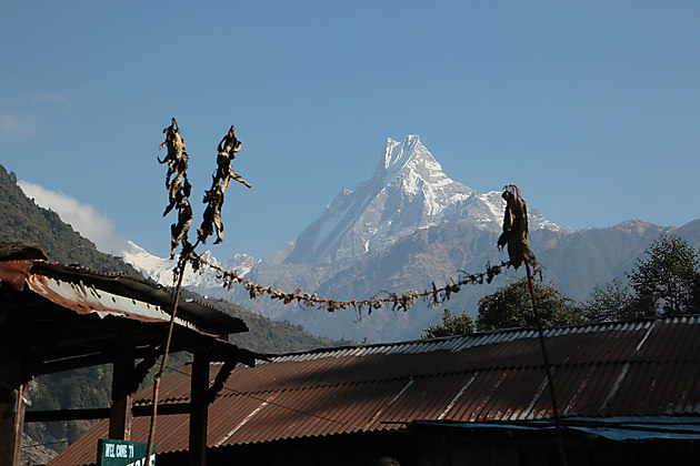 Machapuchare : Montagne : Machapuchare : Annapurna : Région de Pokhara ...