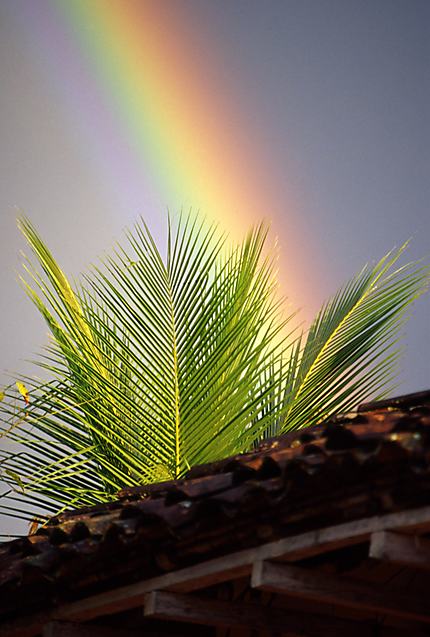 Arc-en-ciel à Moyobamba : Amazonie : Pérou : Routard.com