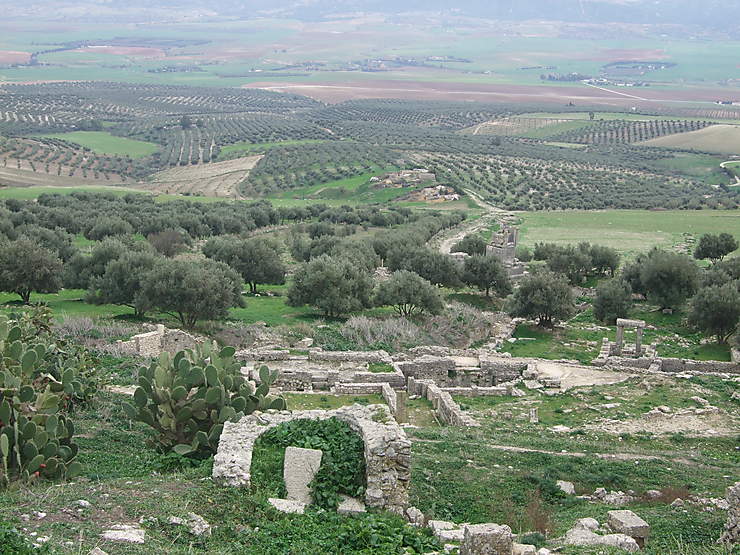 Dougga : Dougga : Circuit des sites antiques : Tunisie : Routard.com