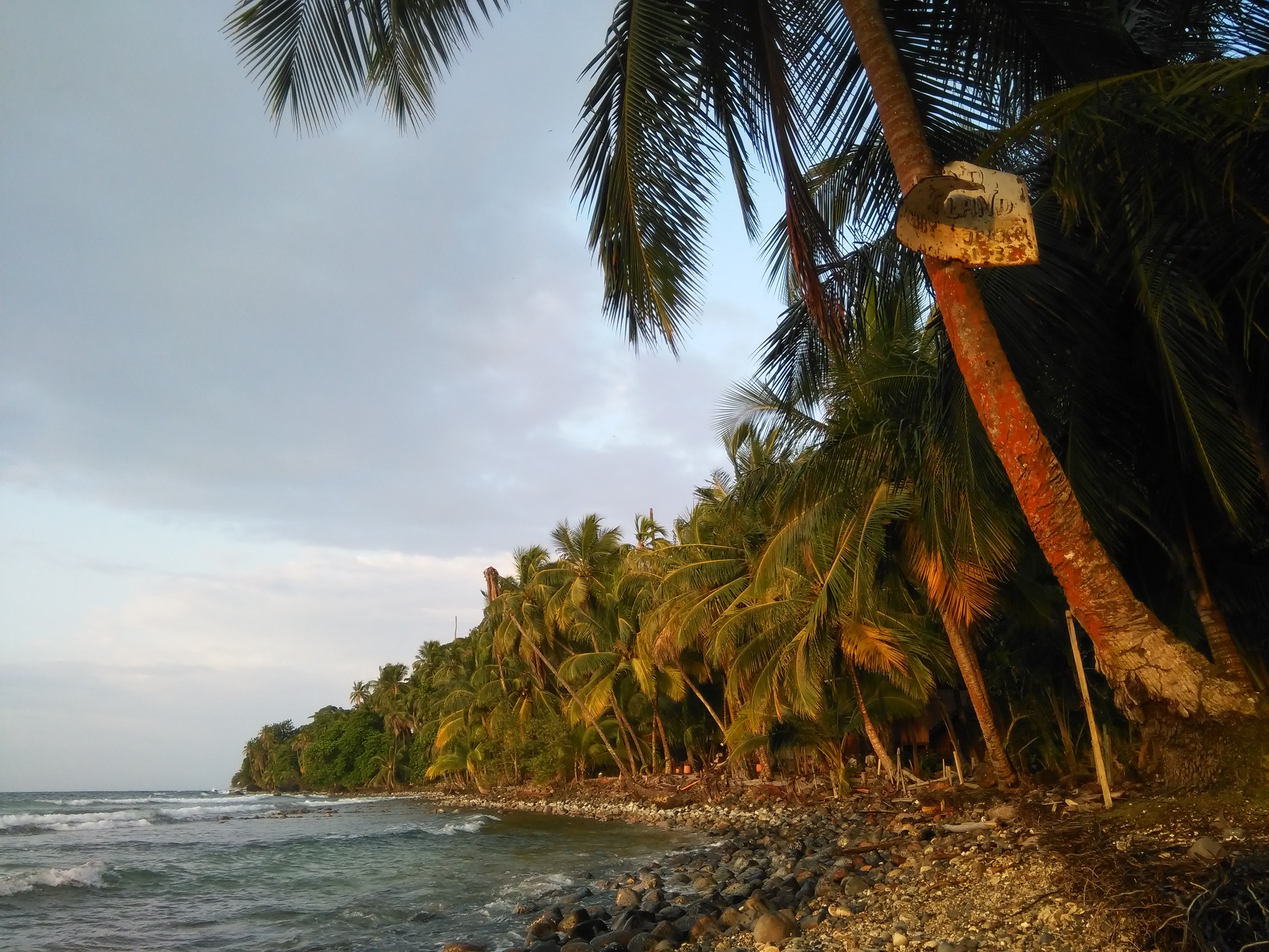 Île Bastimentos : Isla Bastimentos : Archipel de Bocas del Toro : Côte ...
