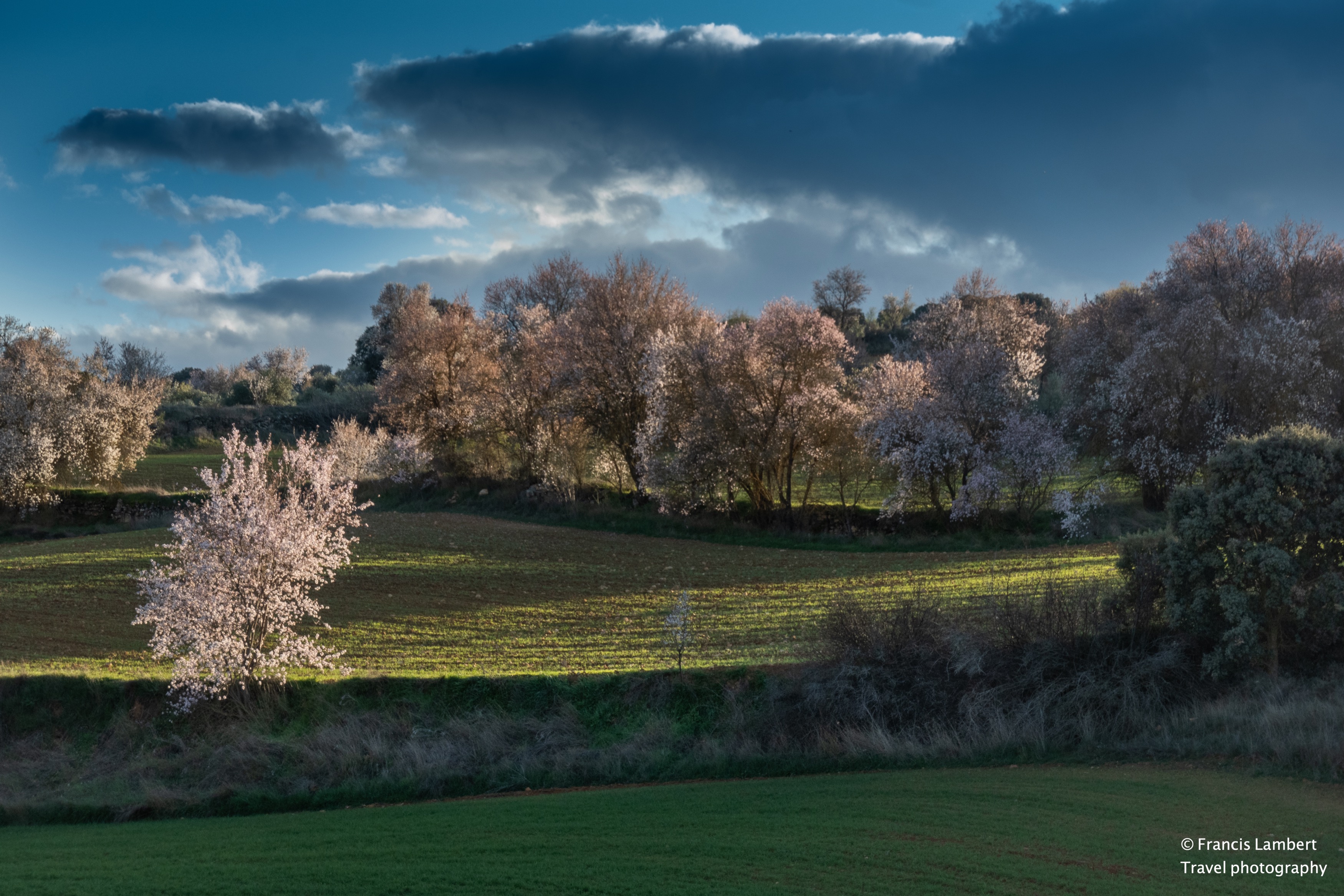 Printemps en Castille-la-Mancha : Cuenca : Castille-La Manche : Espagne ...