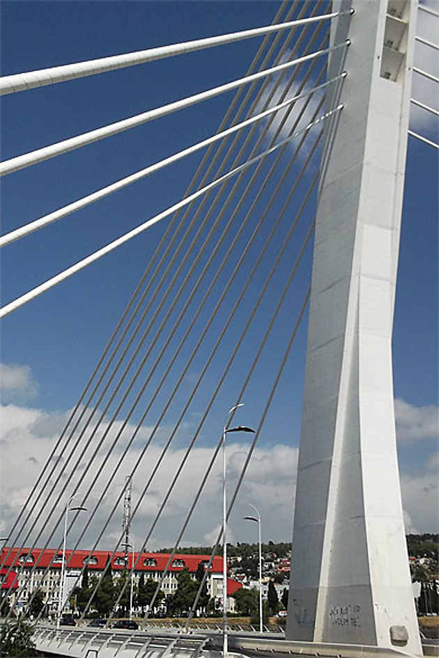 Sur le Pont du Millénaire : Ponts : Most Milenijum (Pont du Millenium ...
